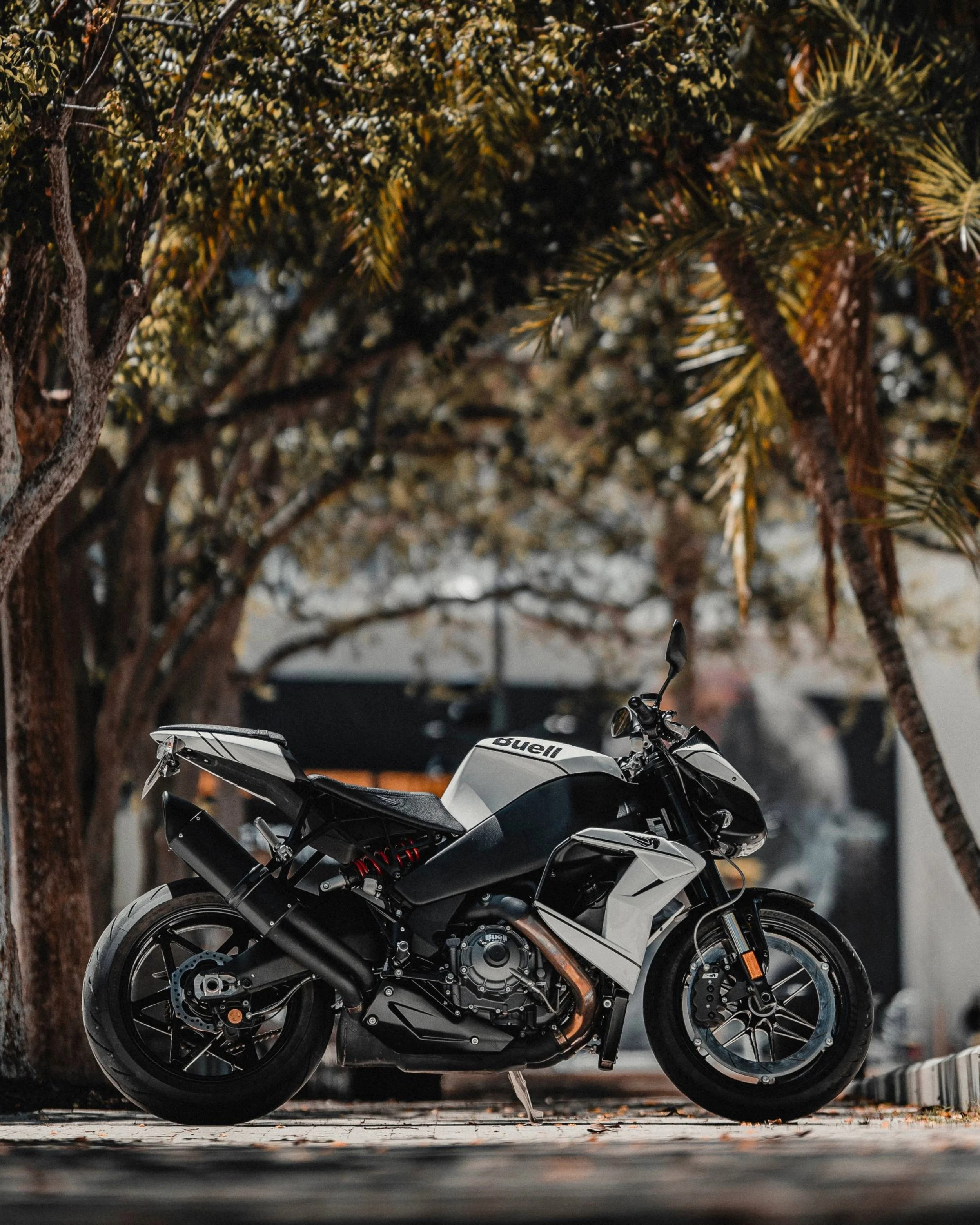 1190SX ORDER NOW — Buell Motorcycle Co.