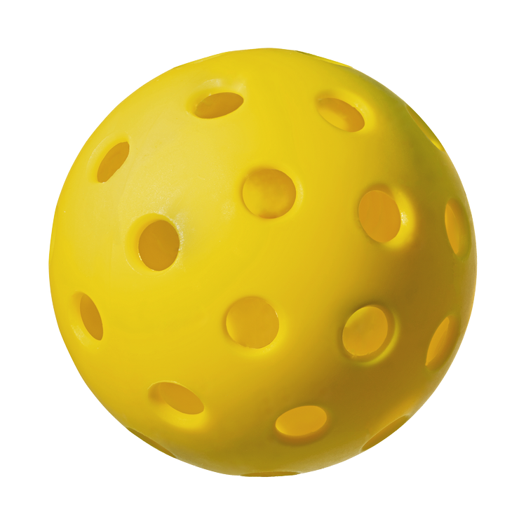 Palace of Pickleball | Join the Action Today