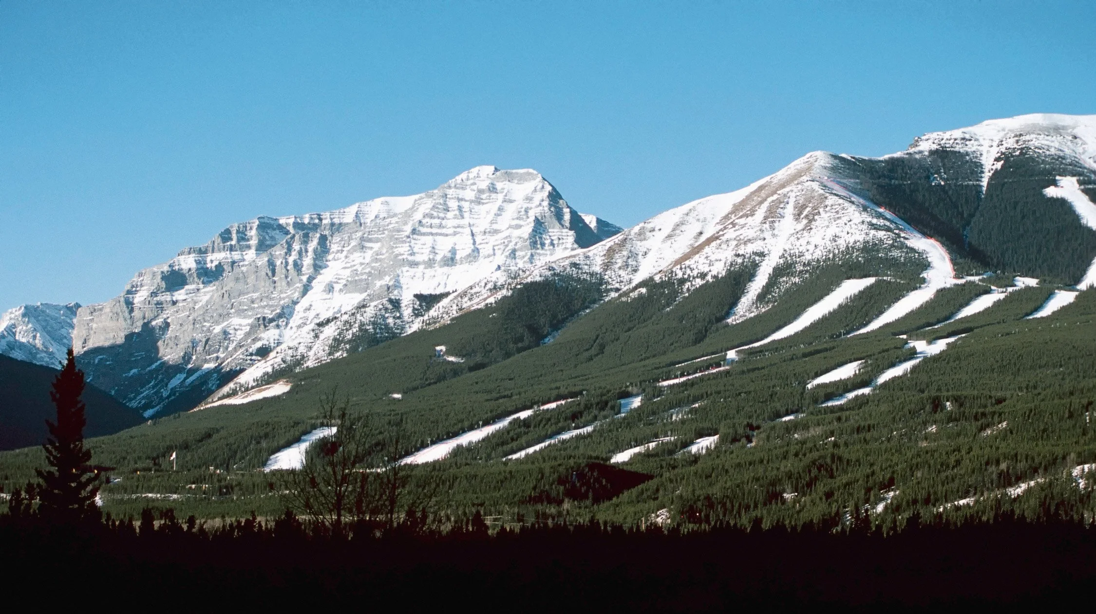 Calgary Alpine Ski Club | Premier Youth Ski Racing & All-Mountain Programs
