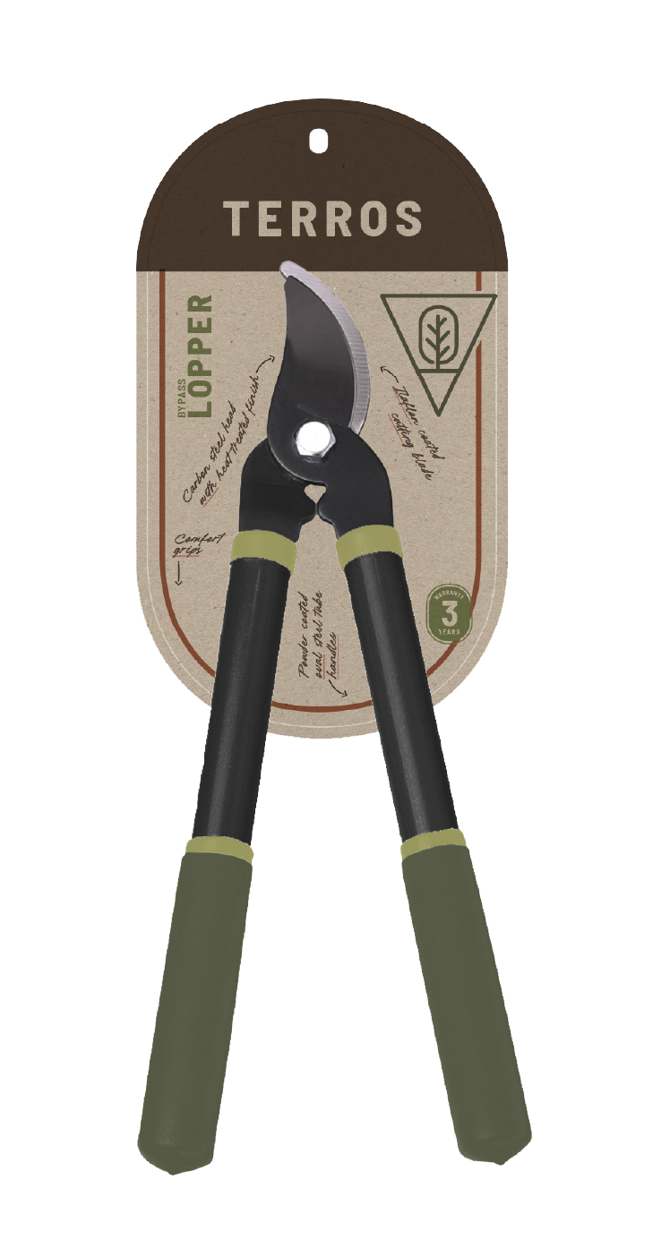 Terros Brand — Rooted in Nature. Built for Life.