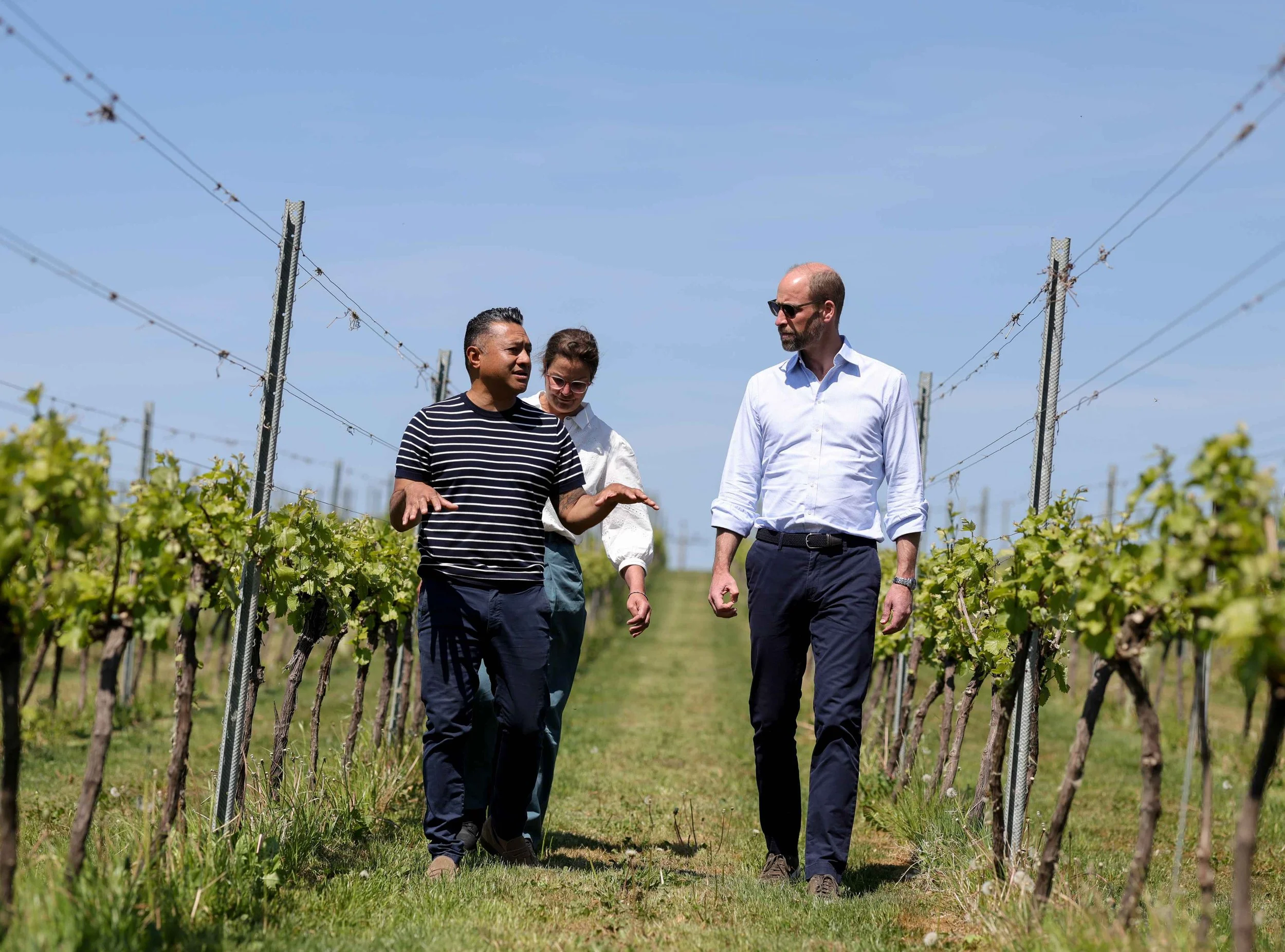 Vineyard Wedding Venue | Bath, UK | Minerva Vines