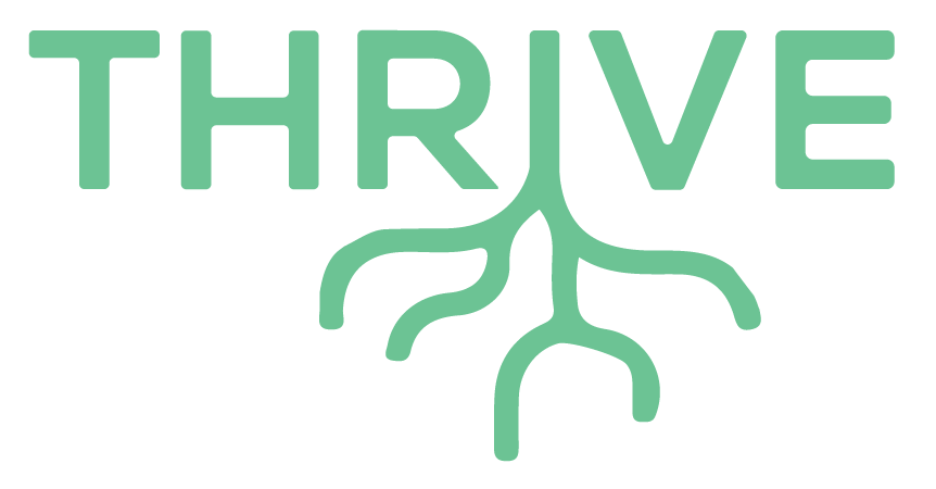 The Protection of Righteousness in the Marketplace — Thrive Teaching