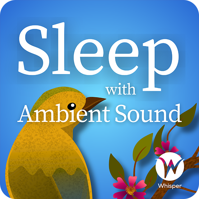Whisper.fm – Sleep Podcasts & Sleep+ Premium Sleepcasts