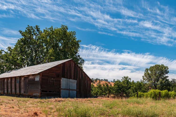 Yolo County Farm Bureau