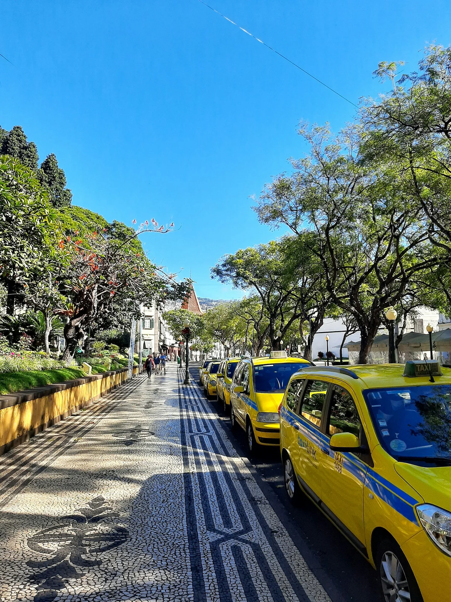 Taxis and Uber in Madeira: How does it work? — That's Madeira