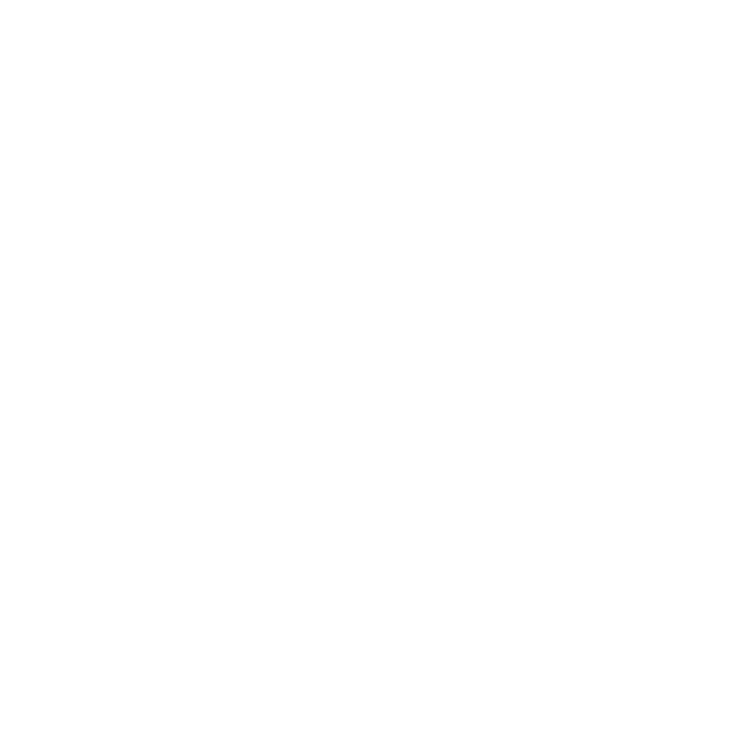 The Islamic Sharia Council