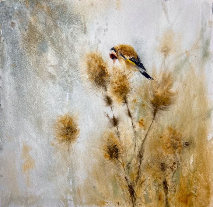 Rachel Singleton Art | UK Wildlife Artist in Watercolour