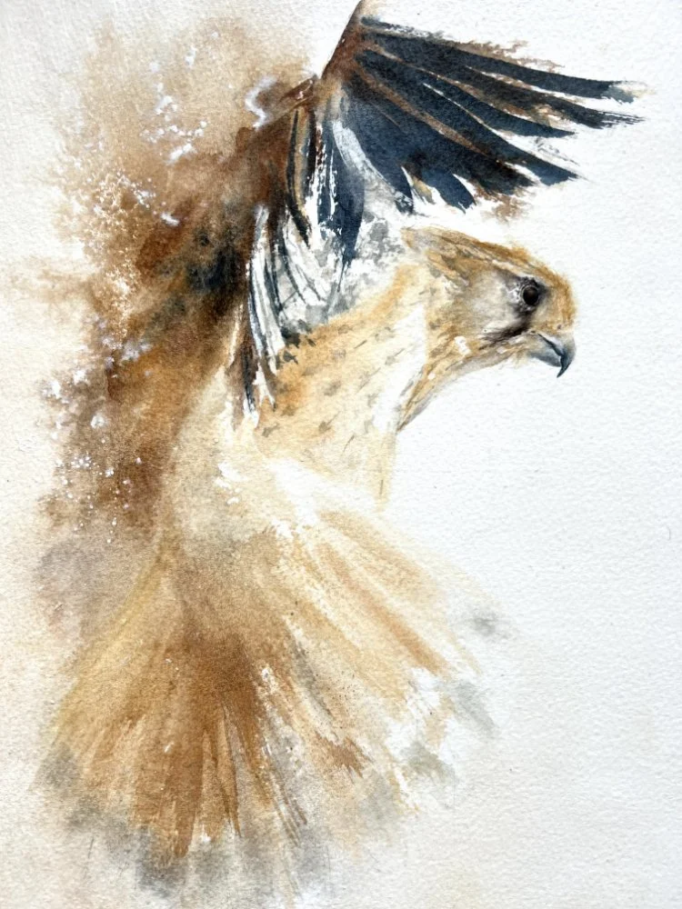 Rachel Singleton Art | UK Wildlife Artist in Watercolour