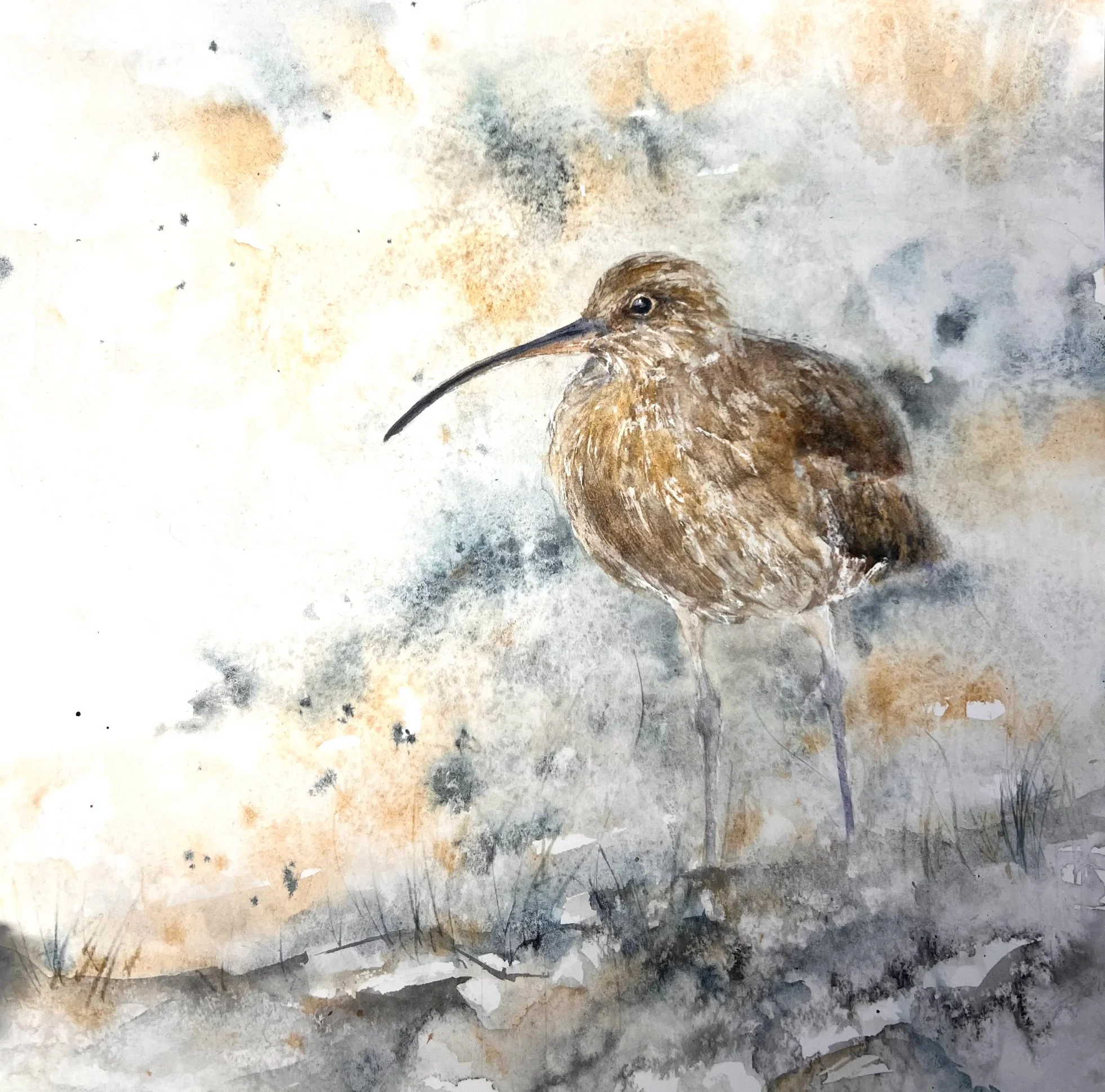 Rachel Singleton - Wildlife Artist | UK Wildlife Artist in Watercolour