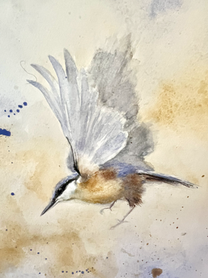Rachel Singleton Art | UK Wildlife Artist in Watercolour