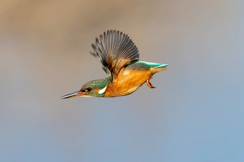 Walking Photography | Enhance Your Photography