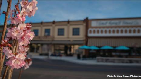 Welcoming Spring with Renewal and Joy — Cache Valley Family Magazine