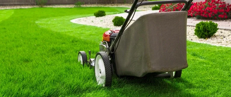 What you need to know about scalping your lawn in Denton County ...