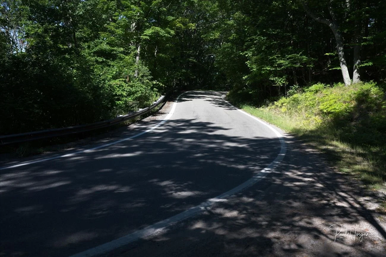 M-119 Tunnel of Trees Scenic Heritage Route | Emmet County, MI