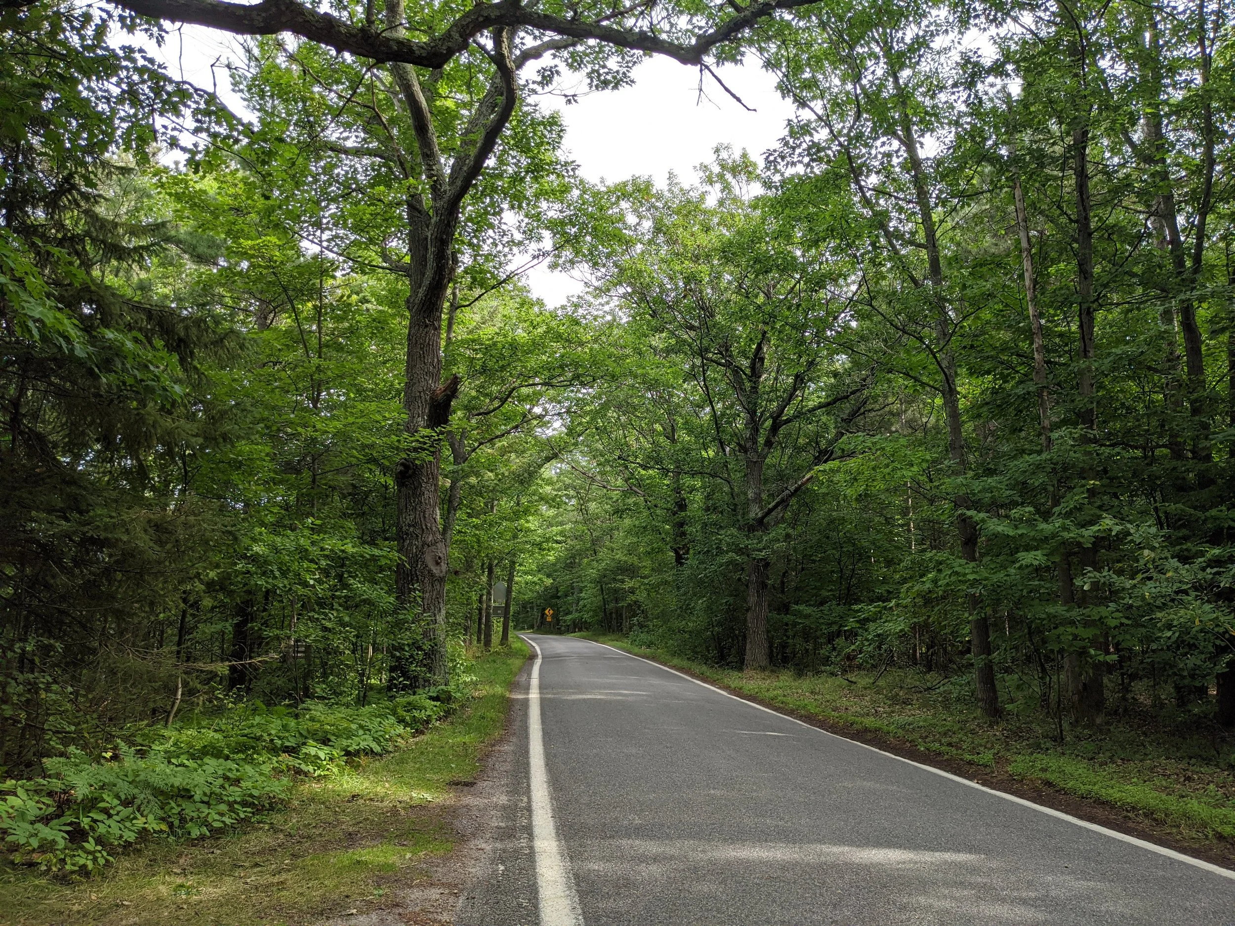 M-119 Tunnel of Trees Scenic Heritage Route | Emmet County, MI