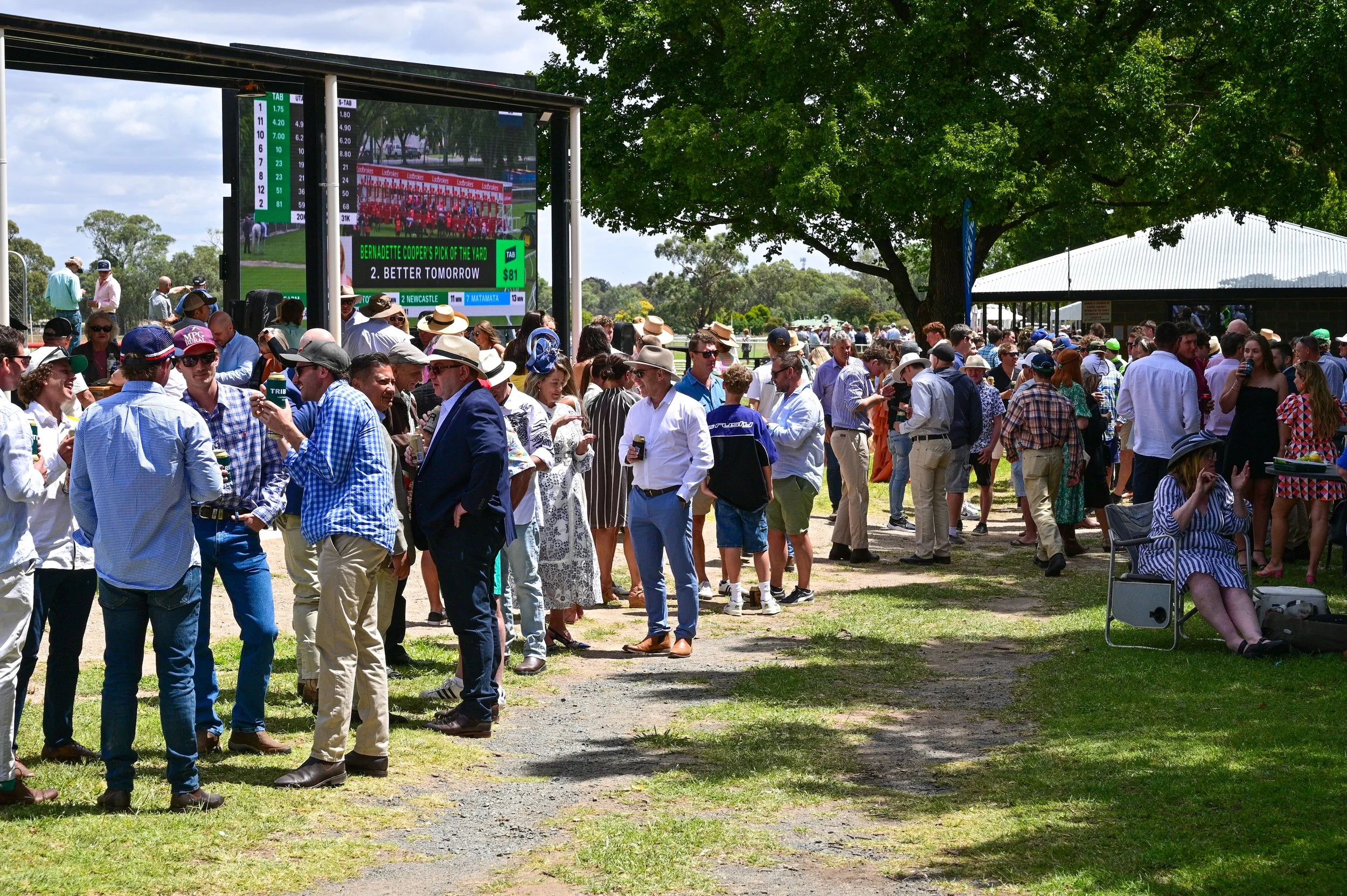 Holbrook Races