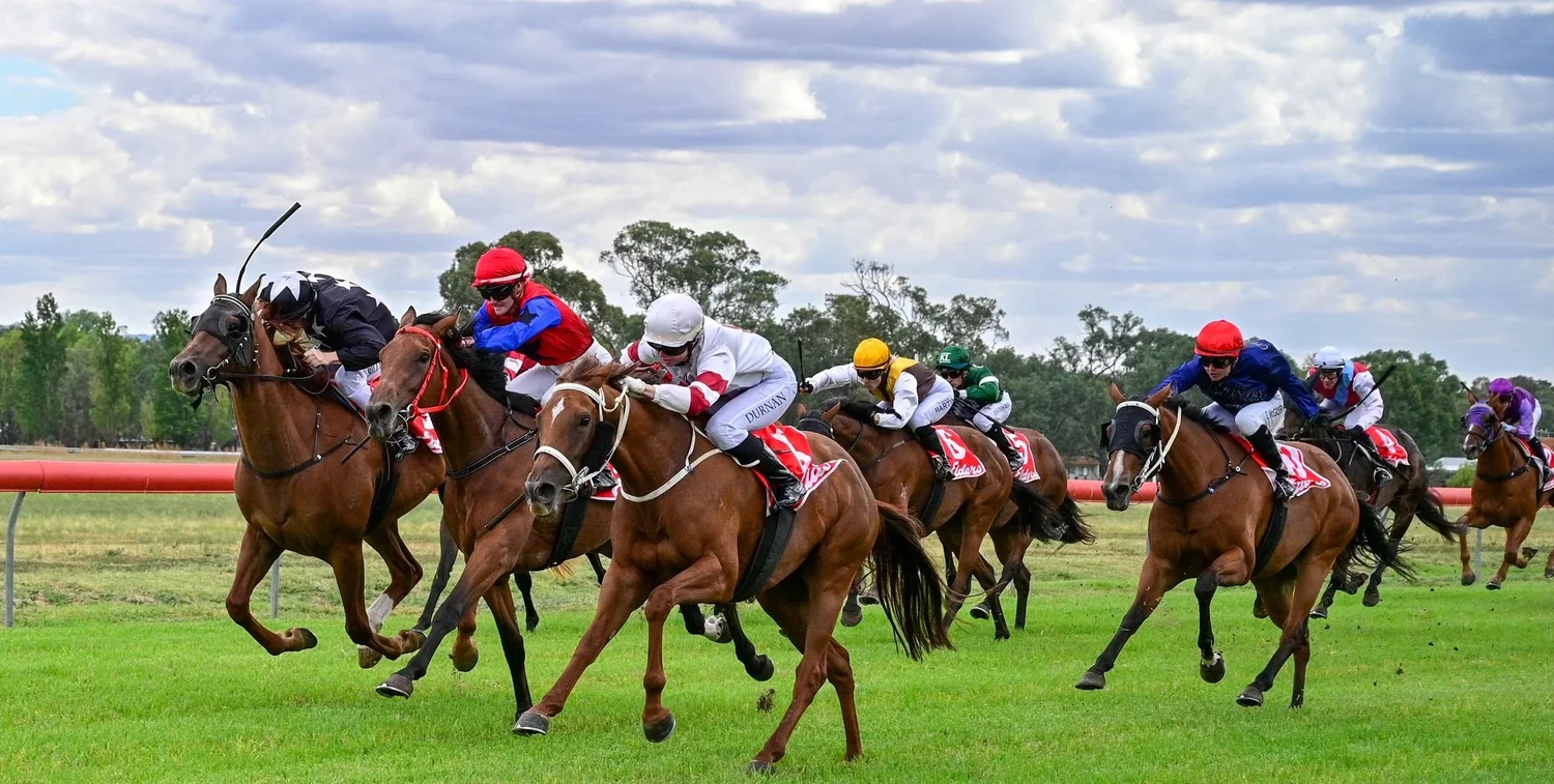 Holbrook Races