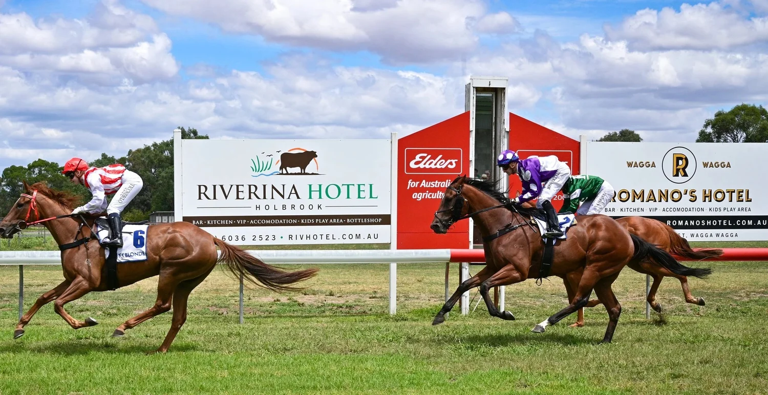Holbrook Races