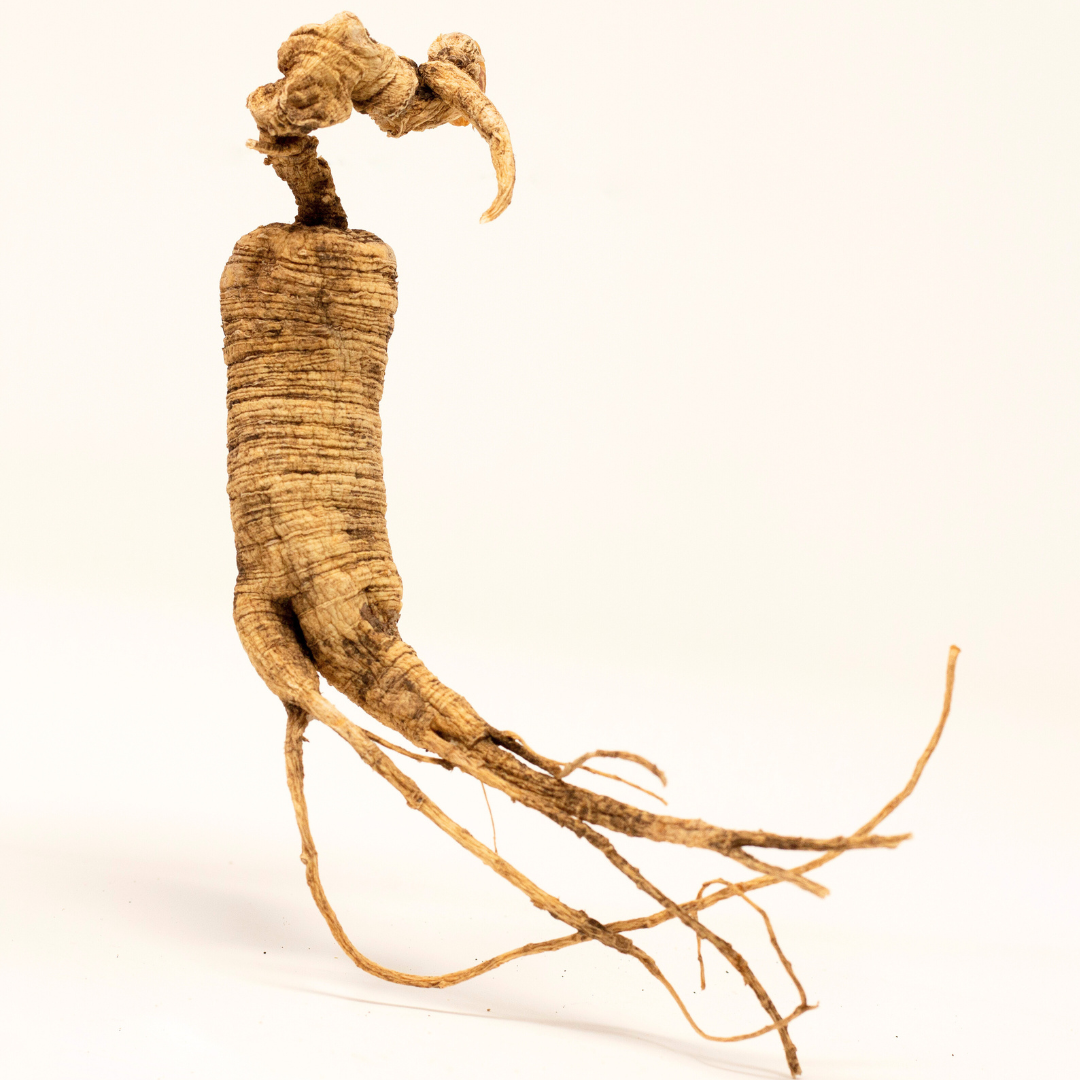 American Ginseng — Po Wing Hong Food Market