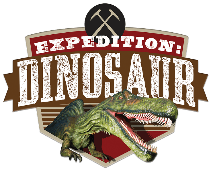 Expedition: Dinosaur — Stage 9 Exhibits - Where Education Meets Imagination
