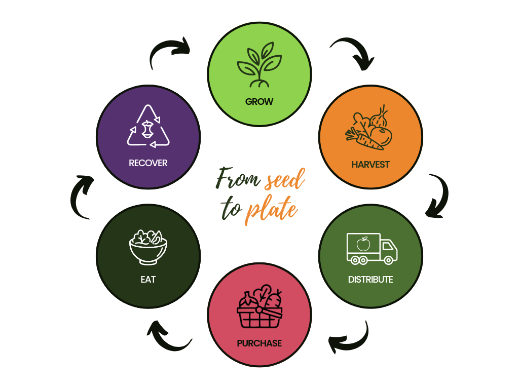 WNC Food Coalition | Building a Strong Local Food System