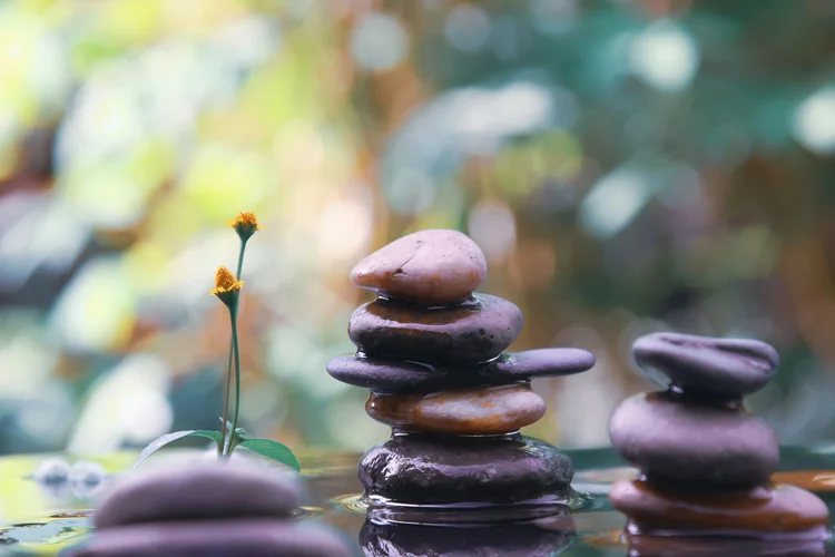 Services 3 — Muses Day Spa