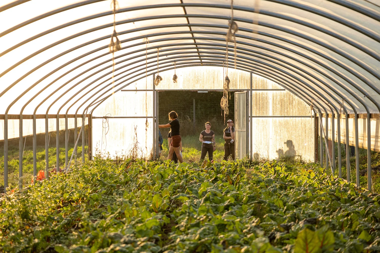 Apprenticeship | Explore Farming Careers in Oregon — Oregon Farm Corps