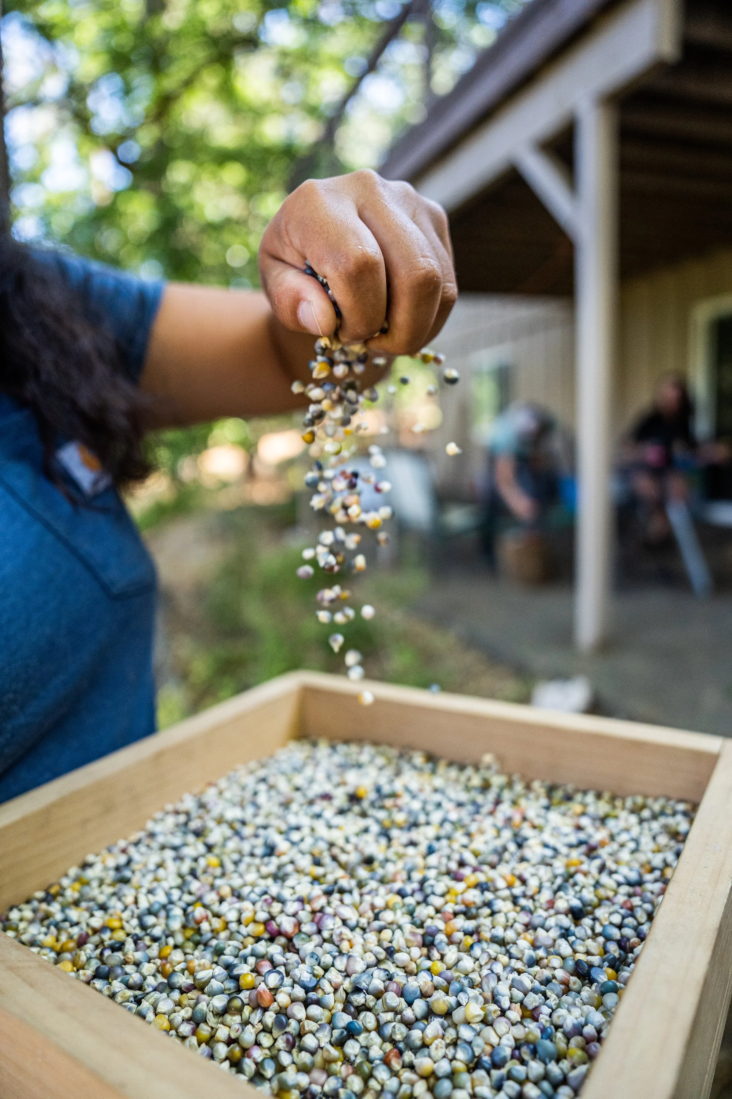 Future Farmers Fund — Oregon Farm Corps