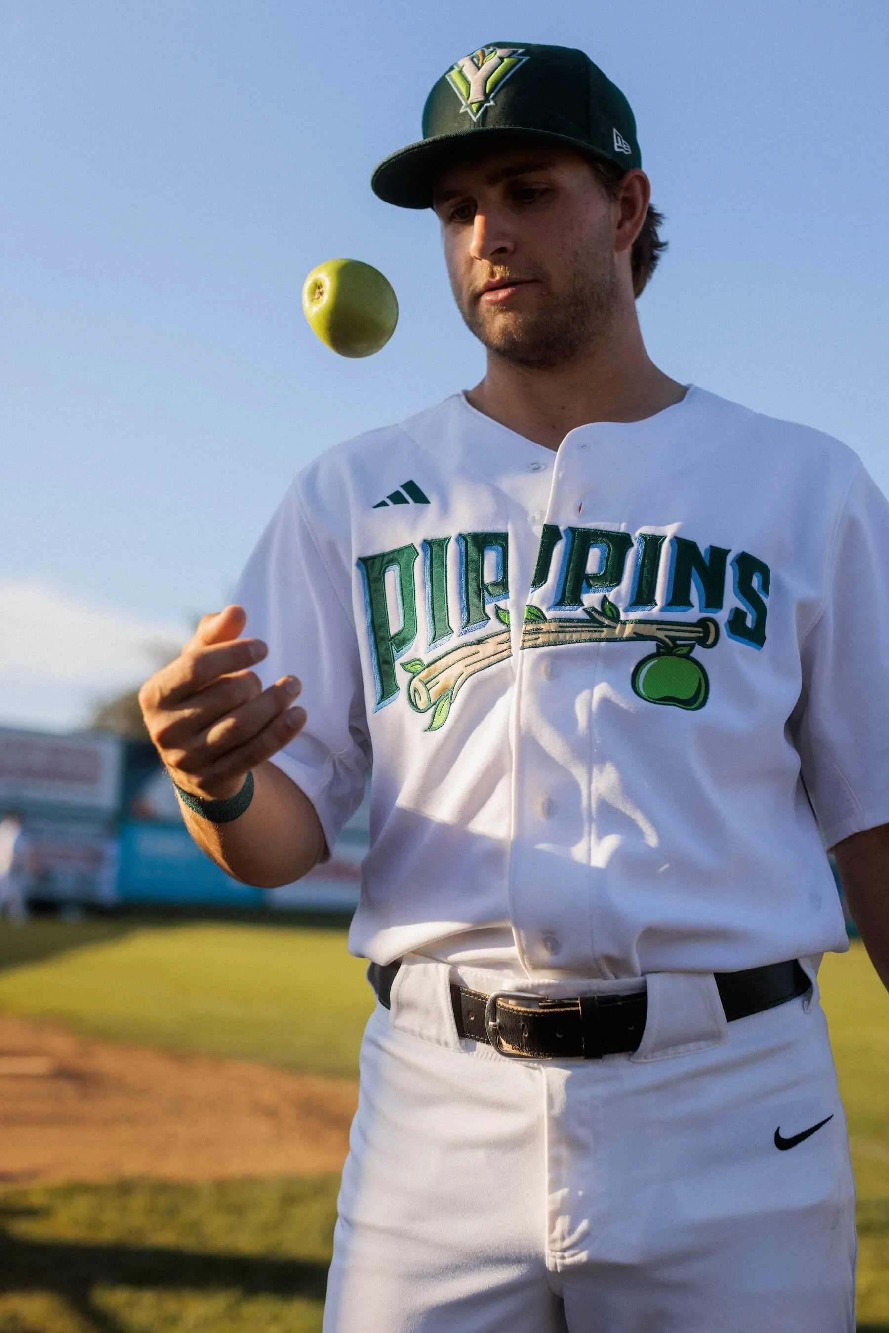 Yakima Valley Pippins Baseball || Summer baseball + Family Fun
