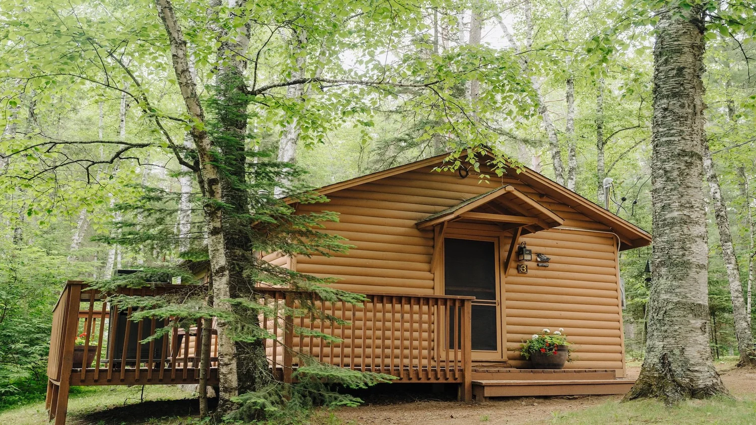 Cabins | Book Your Cabin Stay Today — Timber Bay Lodge & Houseboats