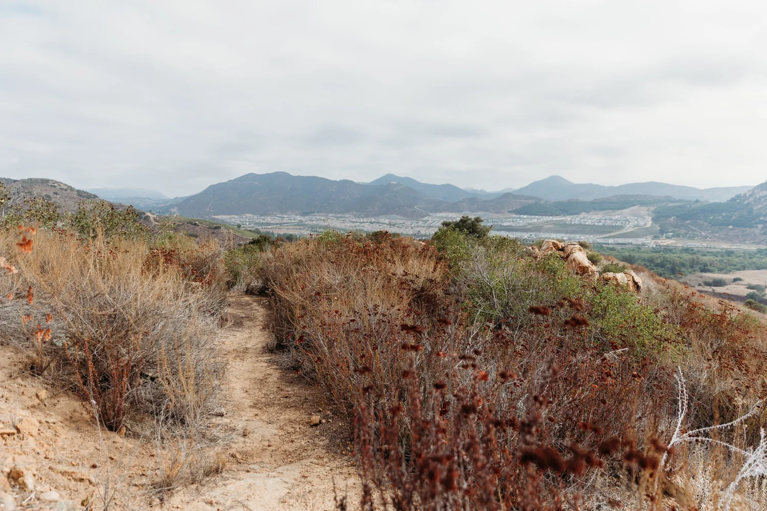 OUR LAND | Preserve Nature — Get Involved Today — Fallbrook Land ...