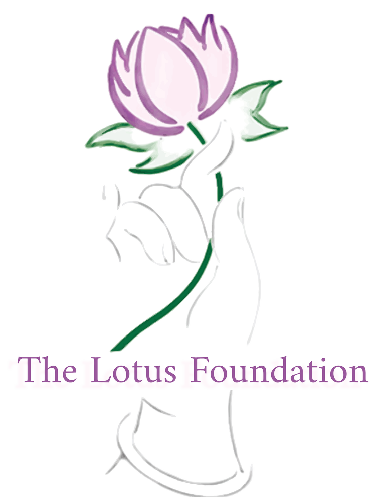 lotus | Support Change Today