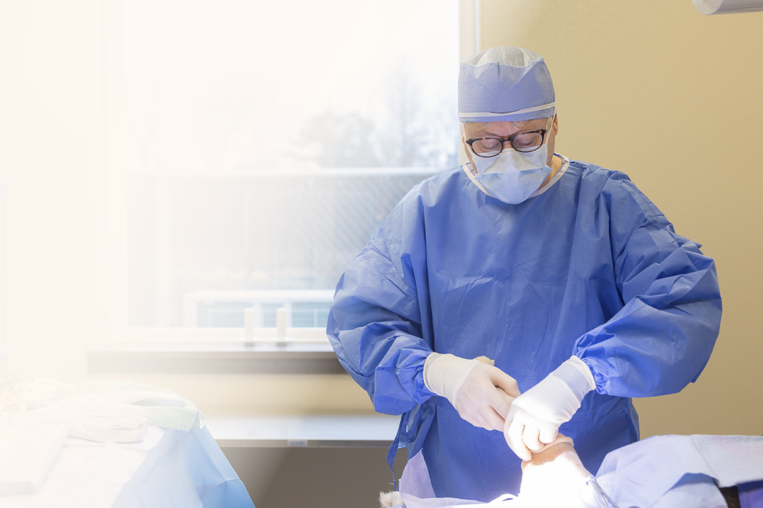Professionals | Elevate Your Veterinary Career Today — Community ...