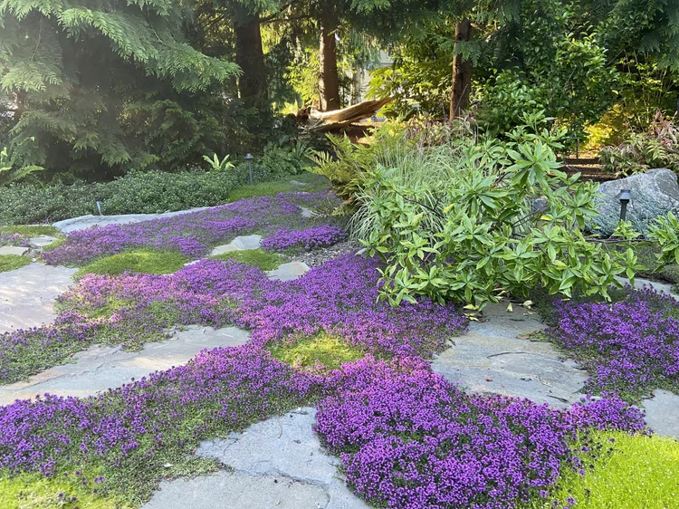 Refuge Landscape Design