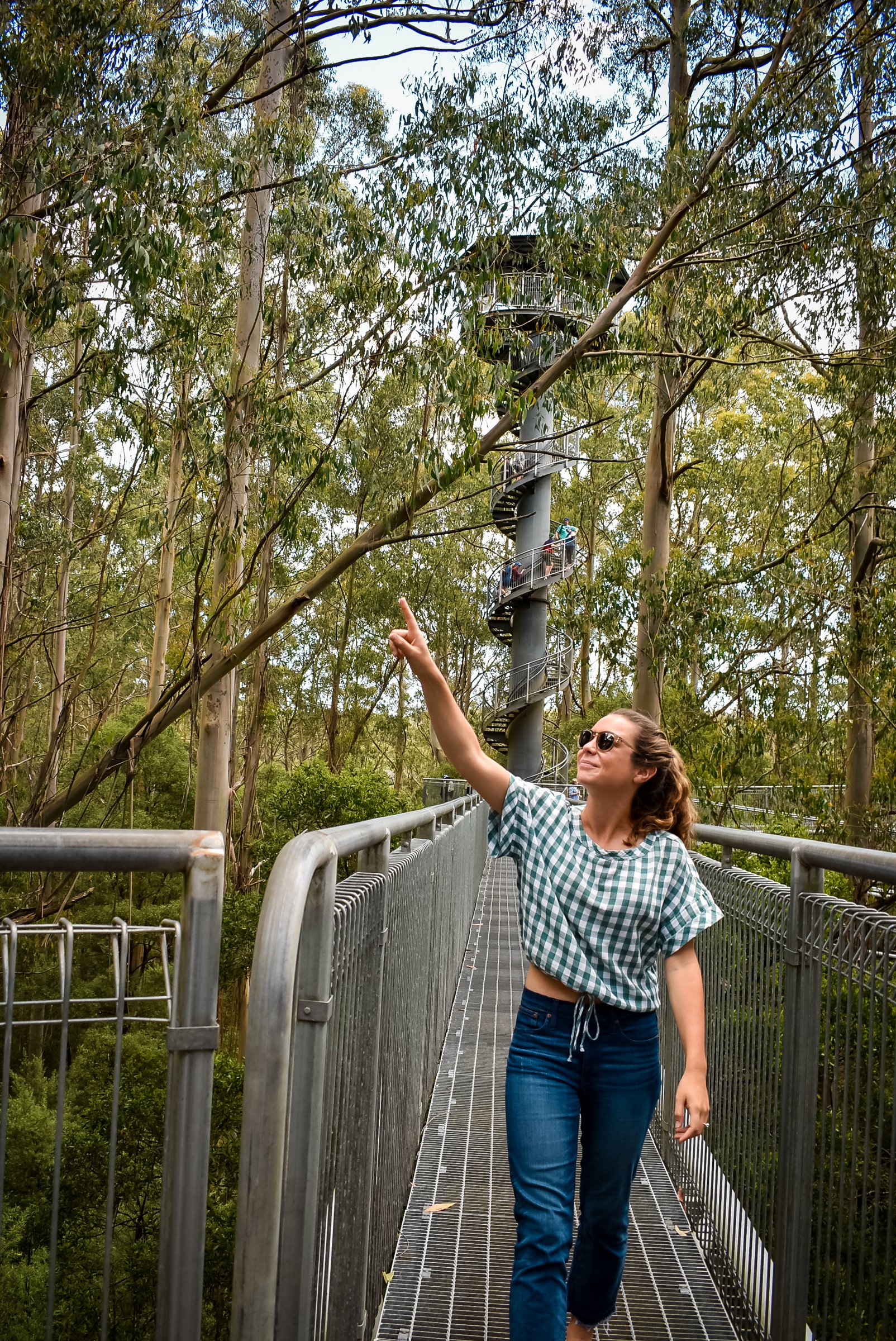 Otway Fly TreeTop Adventures | Experience Nature Now - Book Your Adventure