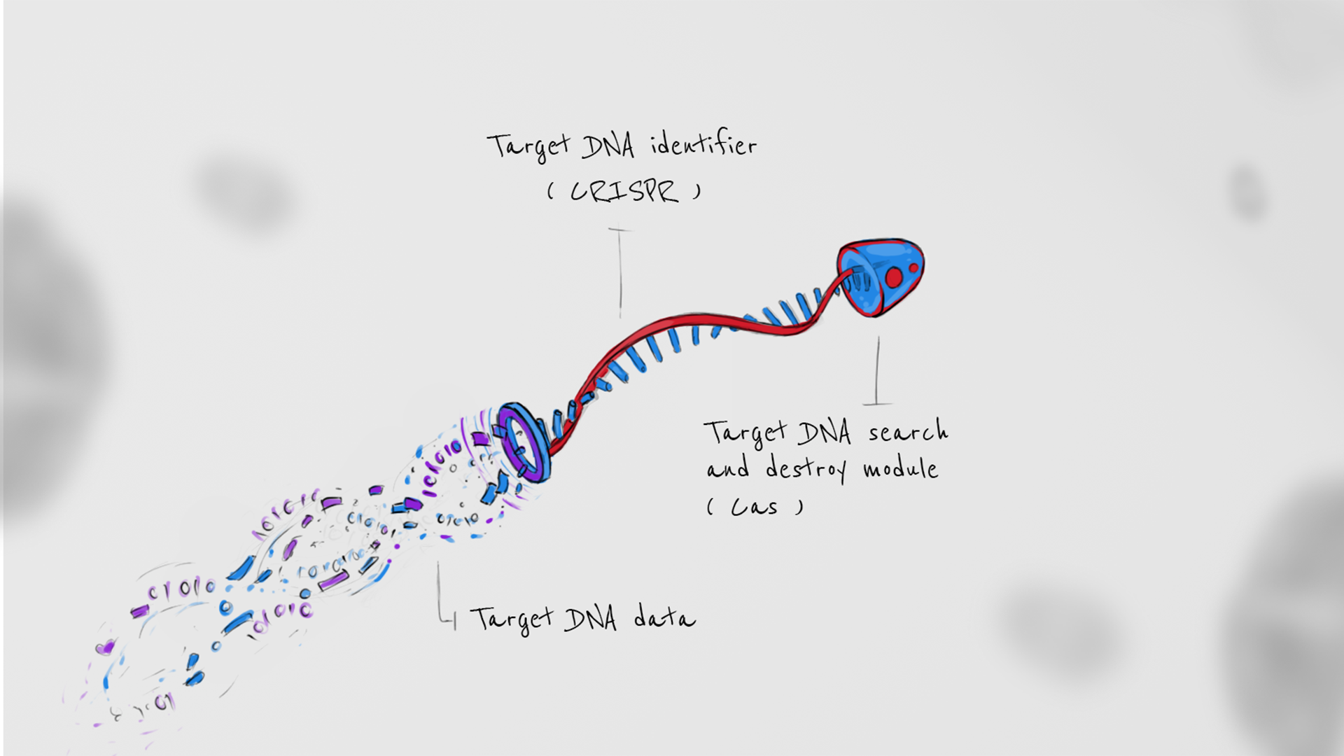 SNIPR BIOME — Our Approach and Technology