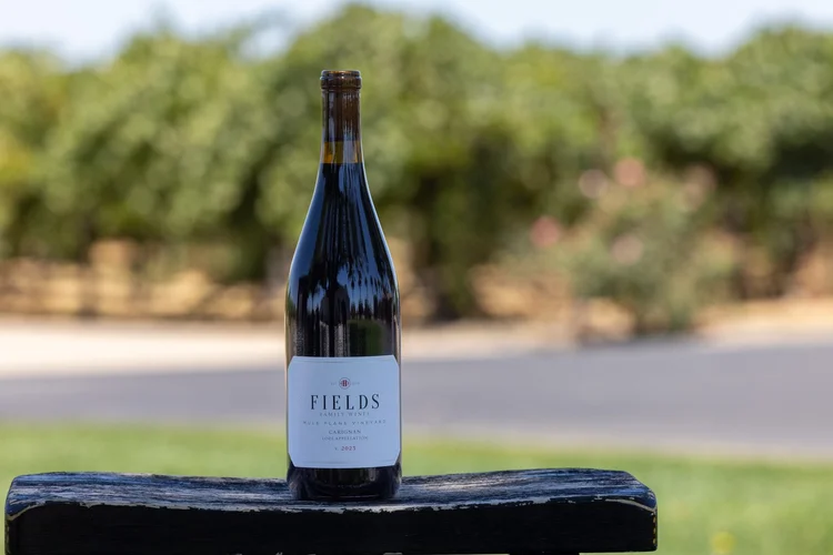 Our Wines | Discover & Sip Today — Fields Family Wines