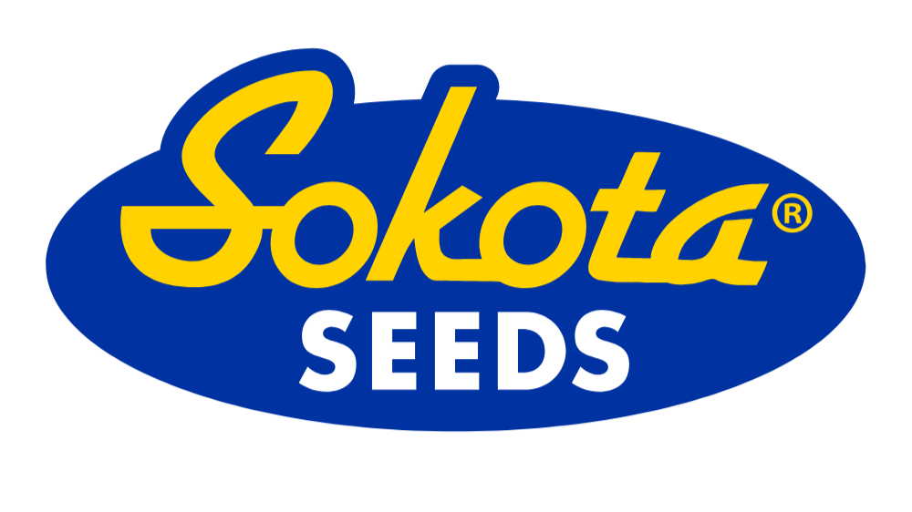 Buck-N-Cock — Sokota Seeds