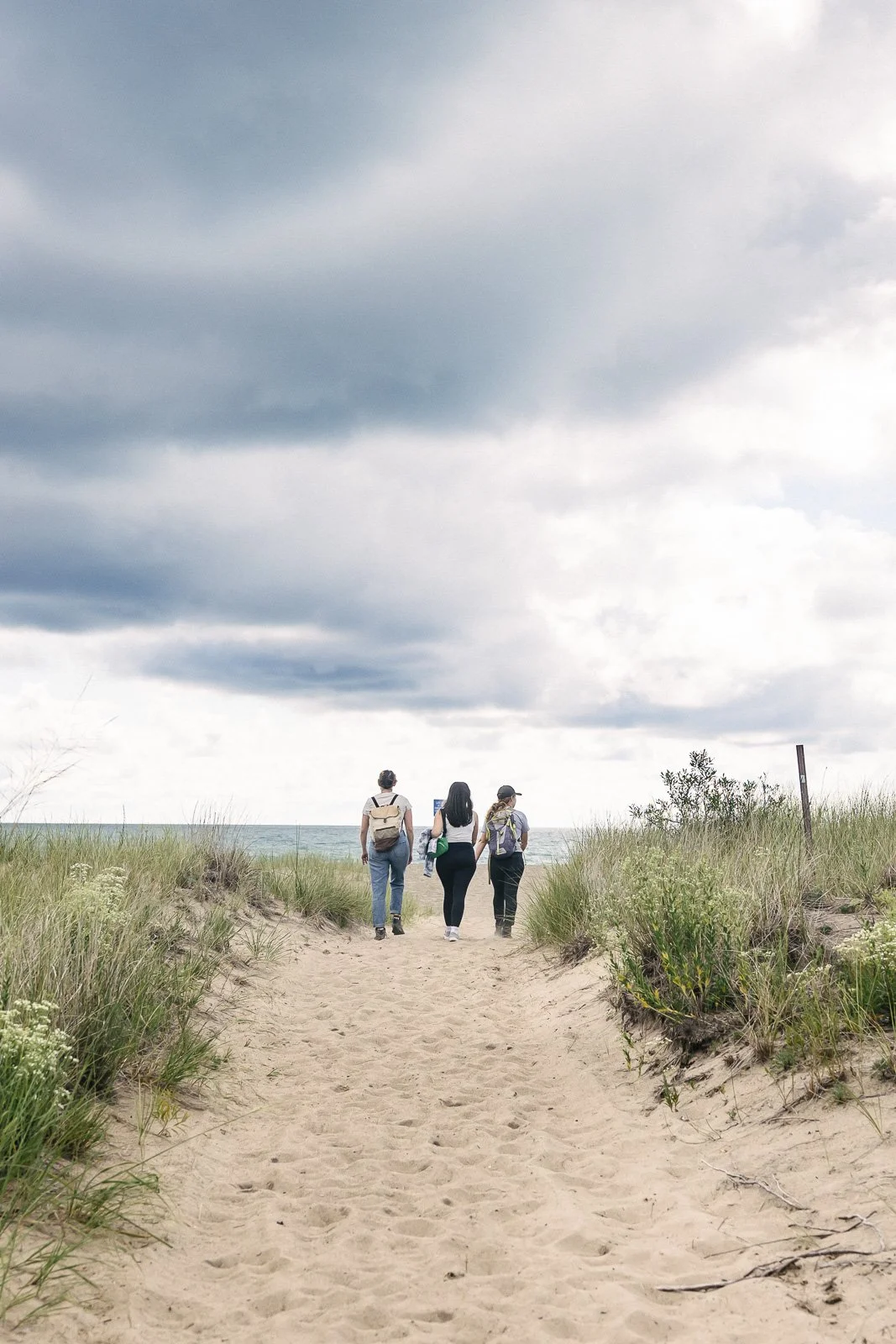 Illinois Beach State Park — The Lake Plain Coastal Preserves