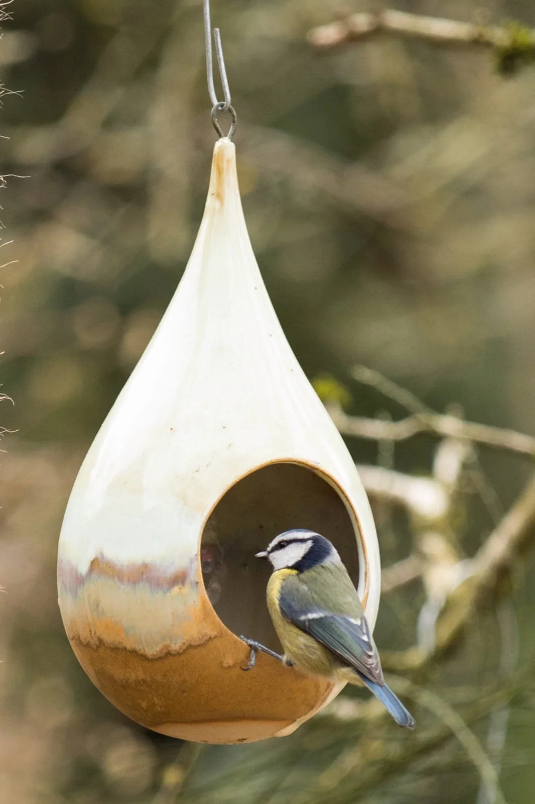 Bird Feeders — The Bird Boys