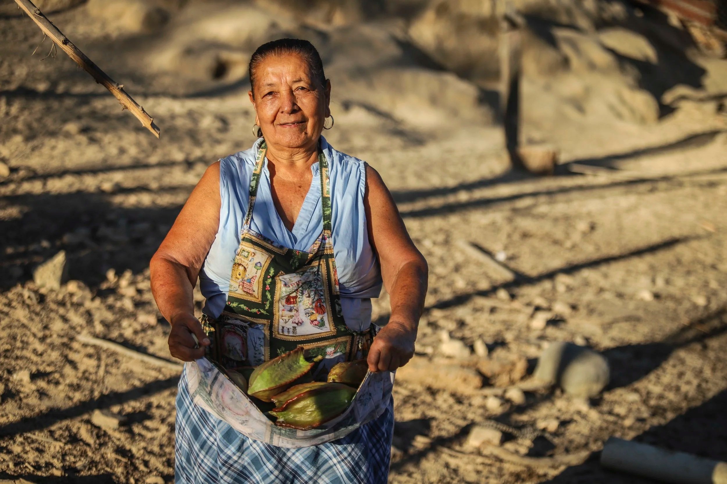 Colima Sabe | Descubre, aprende y saborea Colima
