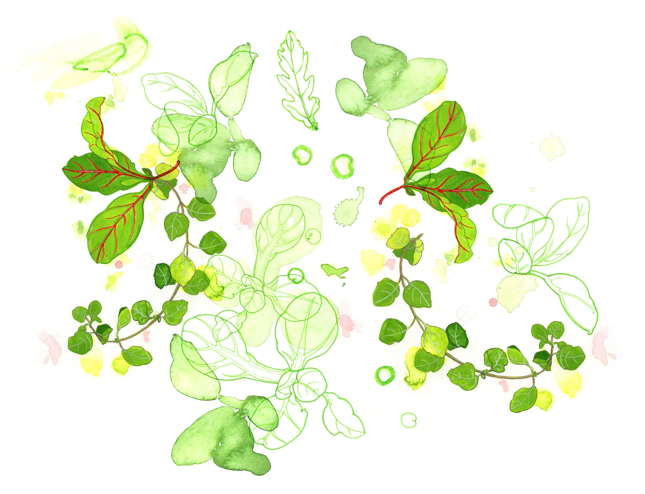 Emma Dibben Illustration
