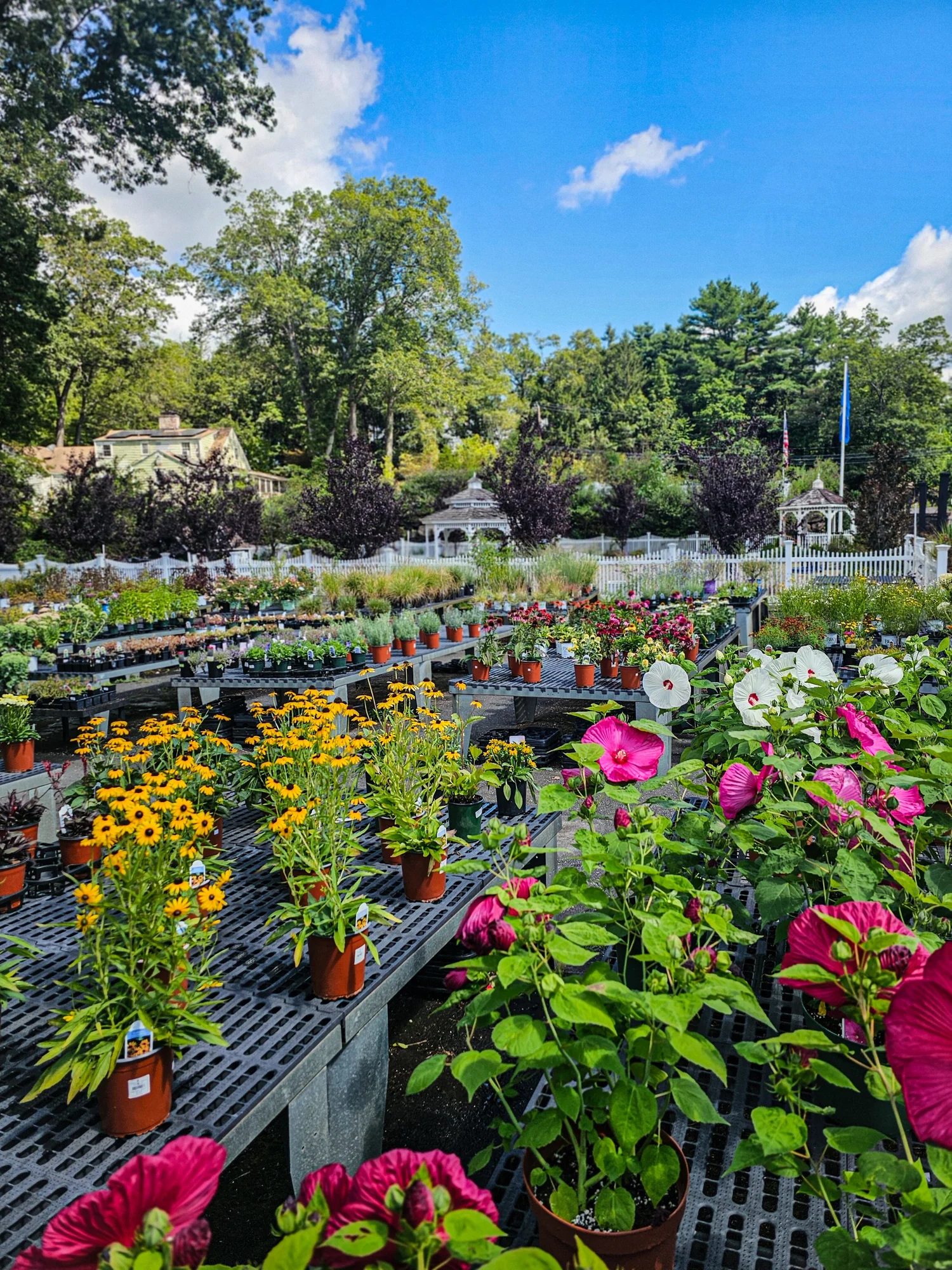 Garden Center & Plant Nursery in Stamford, CT | Designs by Lee