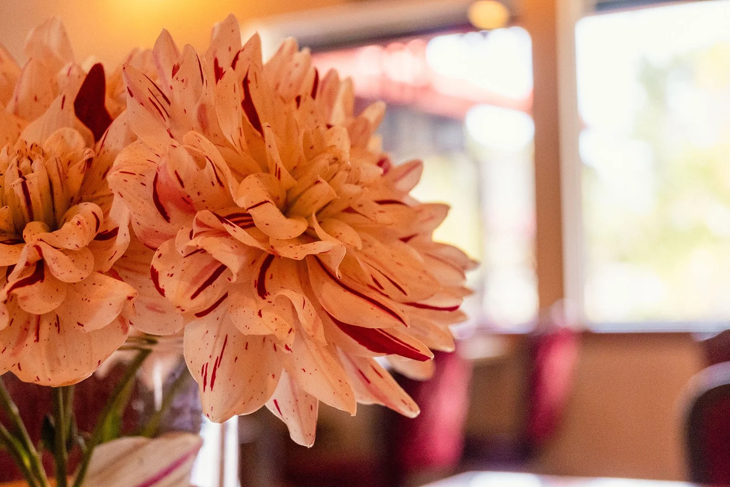 Menu | The Red Roof