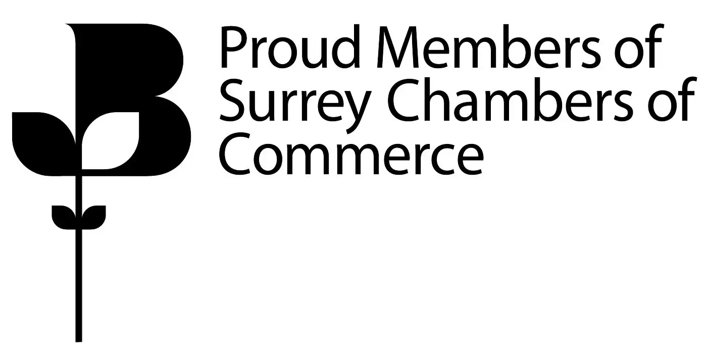 Two Magpies Qualified Workplace Mediators | Resolve Workplace Disputes Now