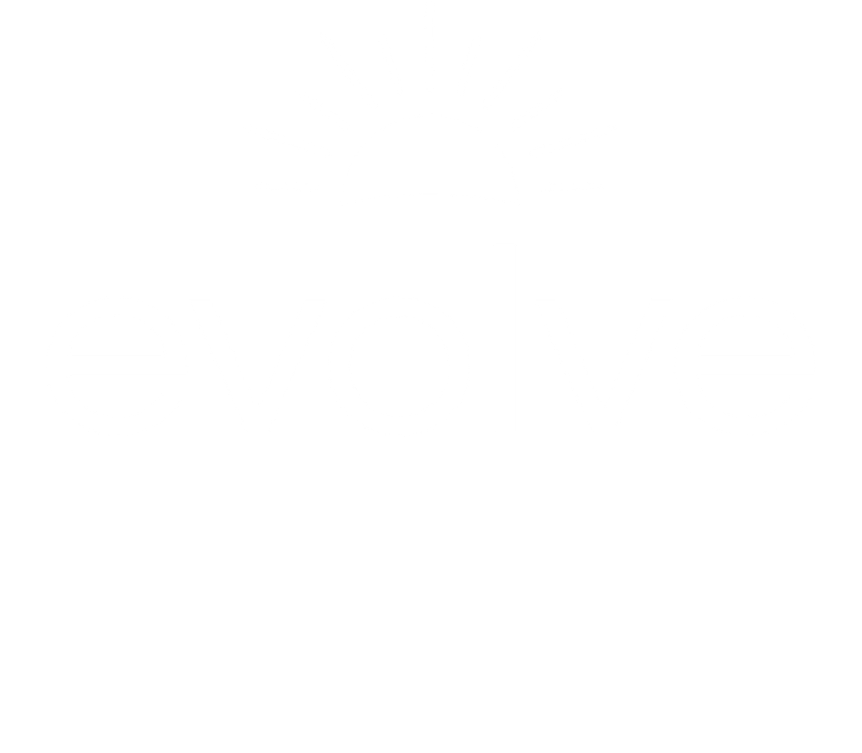 Evolve Institute for Higher Education Leadership