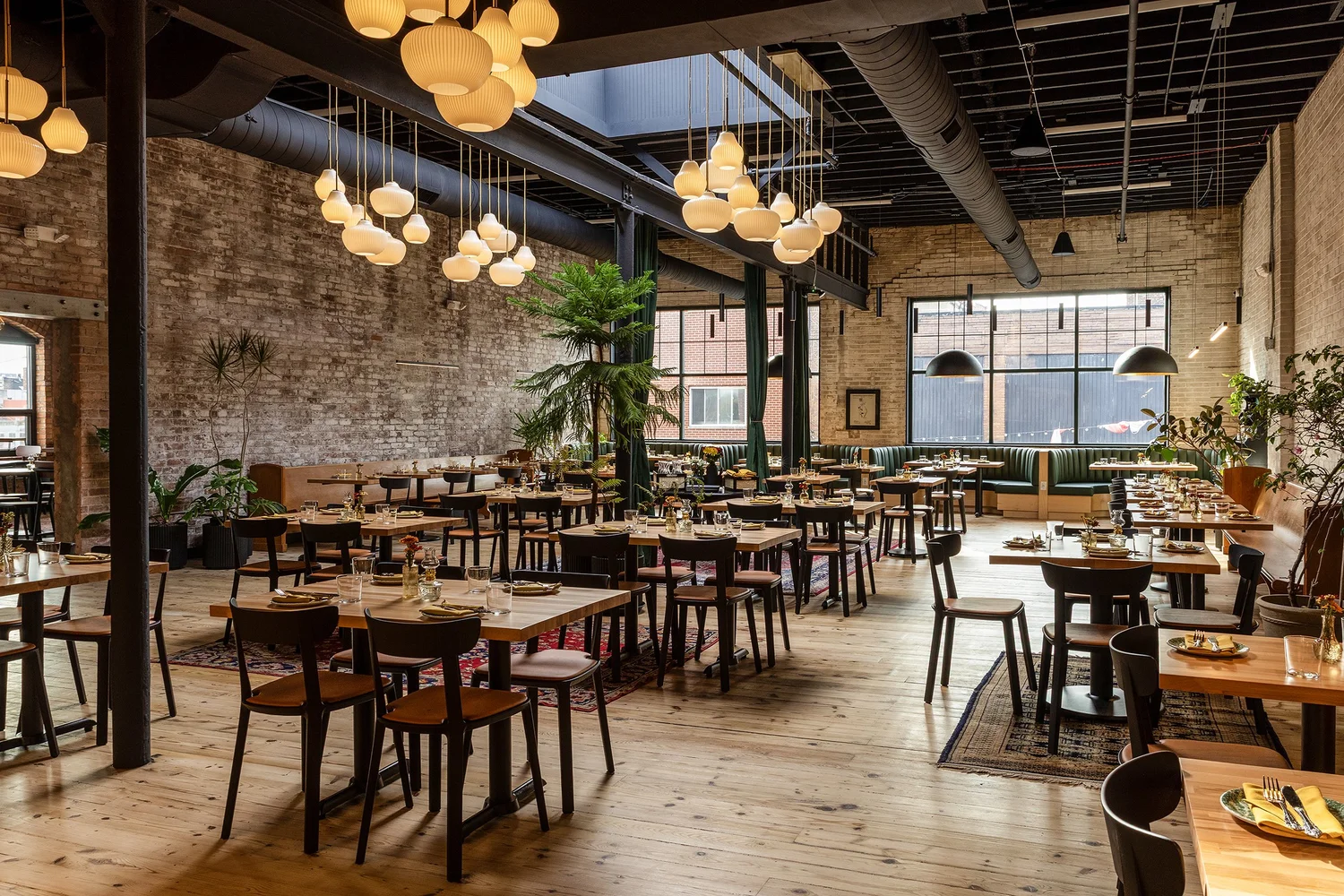 Marrow In The Market