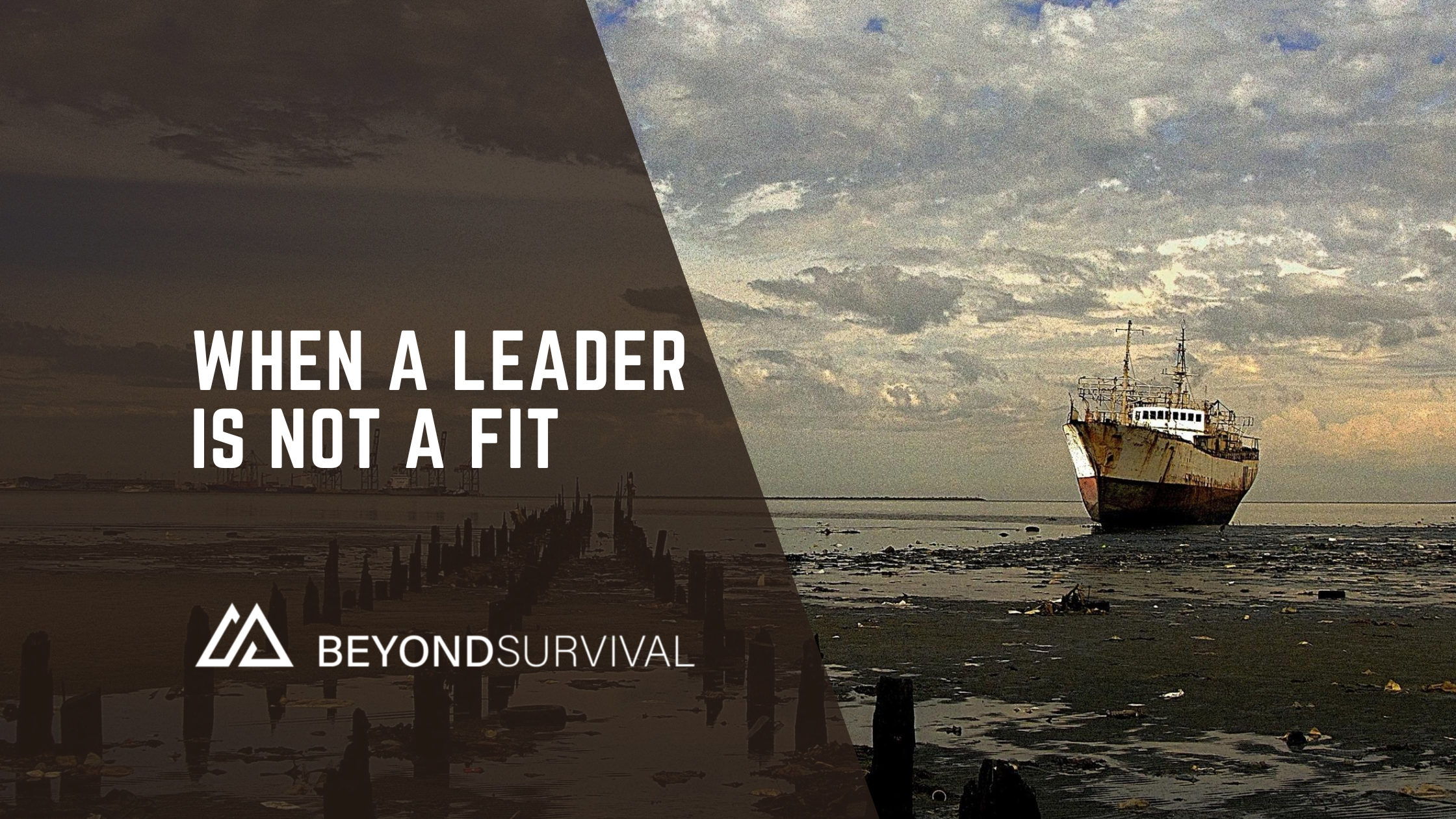 when a leader is not a fit — Beyond Survival