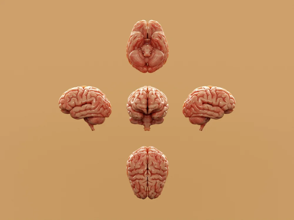 Metacognition: The Thinking Spiral You Can't Turn Off — Lisa Akers ...