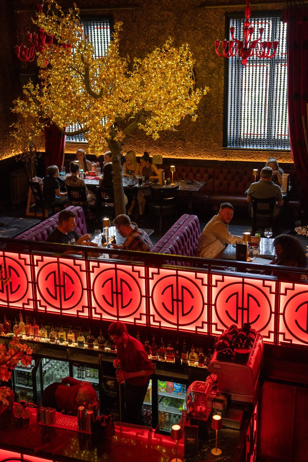 Hidden Tiger Tynemouth | Experience Tynemouth Dining Today